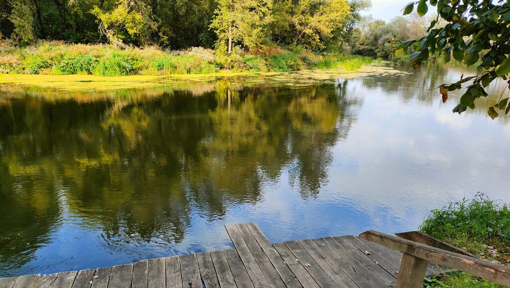 i̇skele причал Новоивановская мельница, Belgorodskaya oblastı, foto