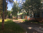 Berezka (Bryanskiy rayon, Zhurinichskoye selskoye poseleniye, posyolok Belo-Berezhskiy Sanatoriy, Turbaza), yaz kampı  Brianskaya oblastından