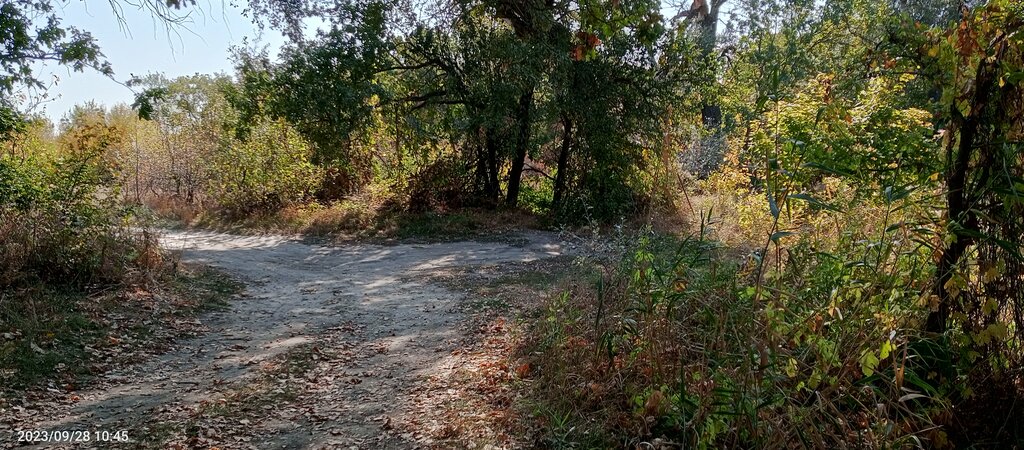 Pınar, çay Spring, stream, Volgogradskaya oblastı, foto