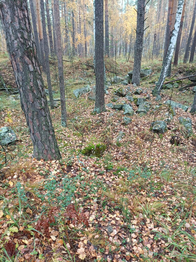 Turistik yerler Каменоломня, Sverdlovskaya oblastı, foto