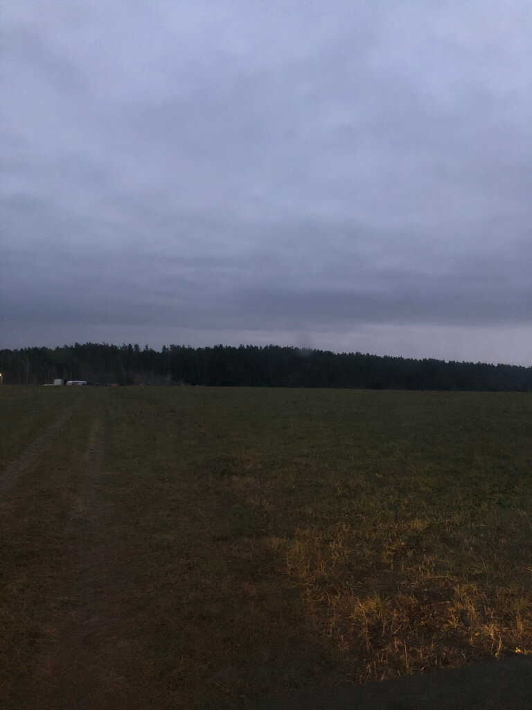 Orman Колышёвский лес, Kalujskaya oblastı, foto