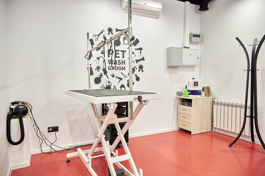 Evcil hayvan kuaförleri Stil'nyye lapki, Belgorod, foto