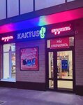 Кактус (ulitsa Karla Marksa No:77Б), hediyelik eşya mağazaları  İşim'den