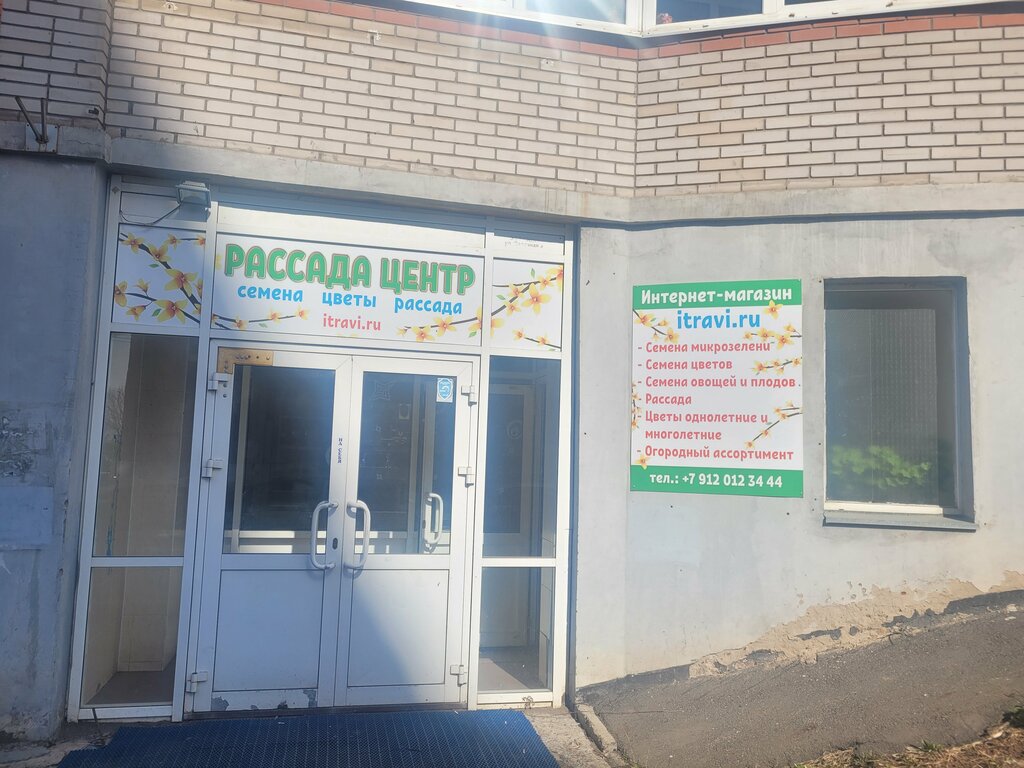 Tohum satan yerler Рассада центр, Izhevsk, foto