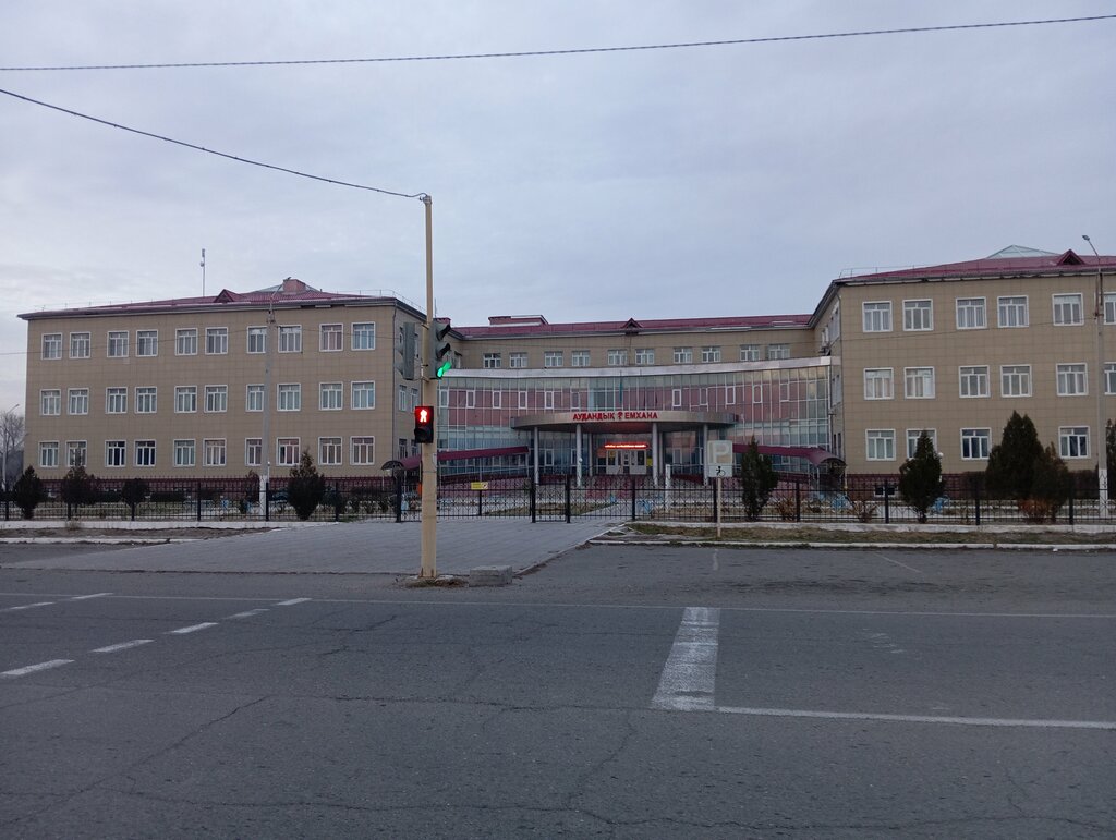 Poliklinikler Zhambyl district polyclinic, Jambıl eyaleti, foto
