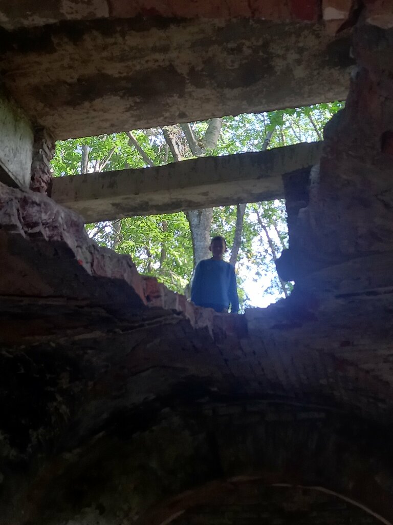 Turistik yerler Развалины части Усадьбы Хлюдинских, Vitebskaya oblastı, foto