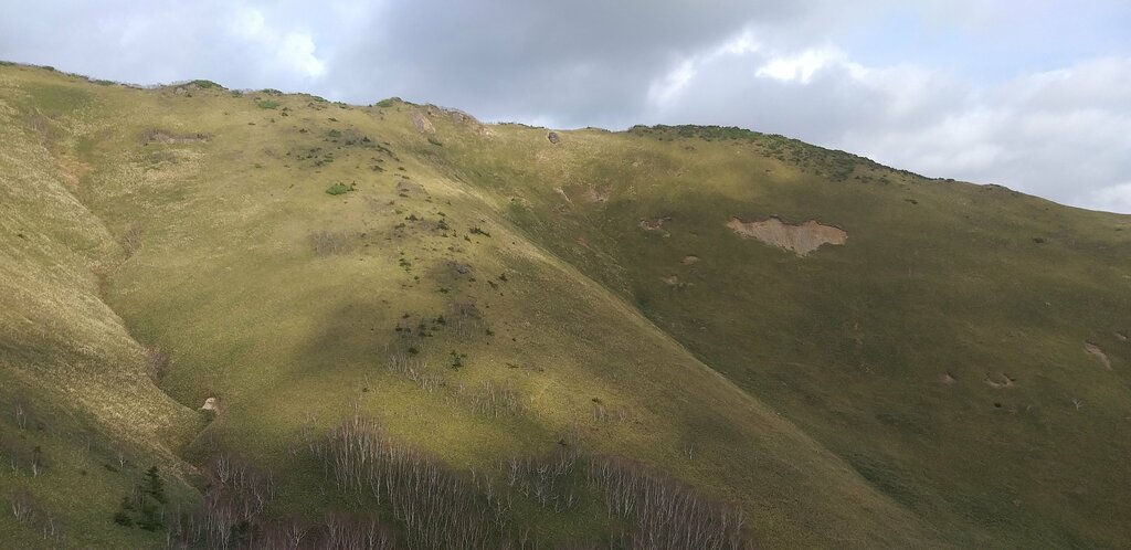 Dağ zirvesi Гора Пиковая 454 метра, Sahalin Bölgesi, foto