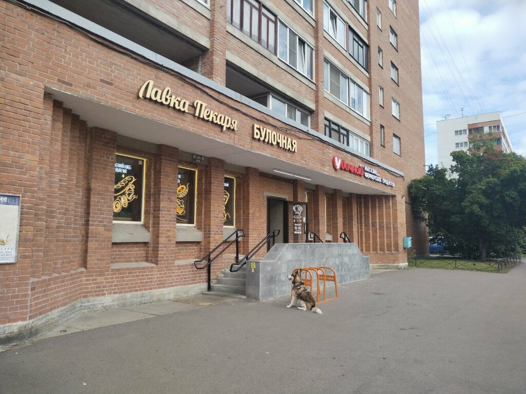 Kuruyemiş, atıştırmalık, kuru meyve Магазин орехов и сухофруктов, Saint‑Petersburg, foto