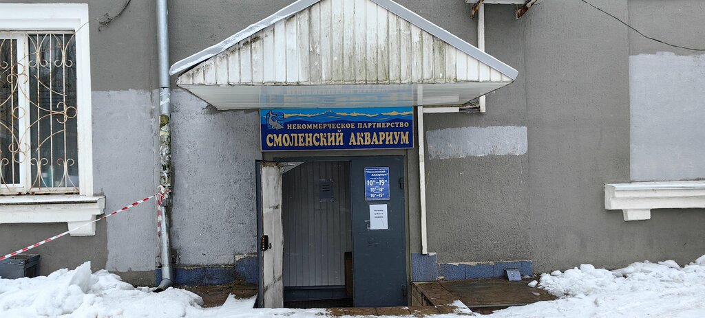 Petshop Smolensky akvarium Nekommercheskoye partnerstvo, Smolensk, foto