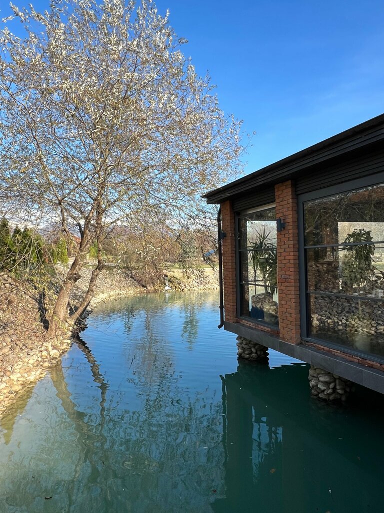 Restoran Ресторан Форелевое Хозяйство, Gudauta Bölgesi, foto