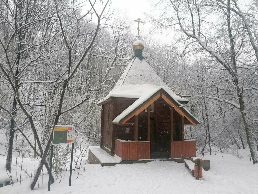 Doğa koruma alanı Государственный природный ботанический заказник Урочище Монастырский лес, Belgorodskaya oblastı, foto