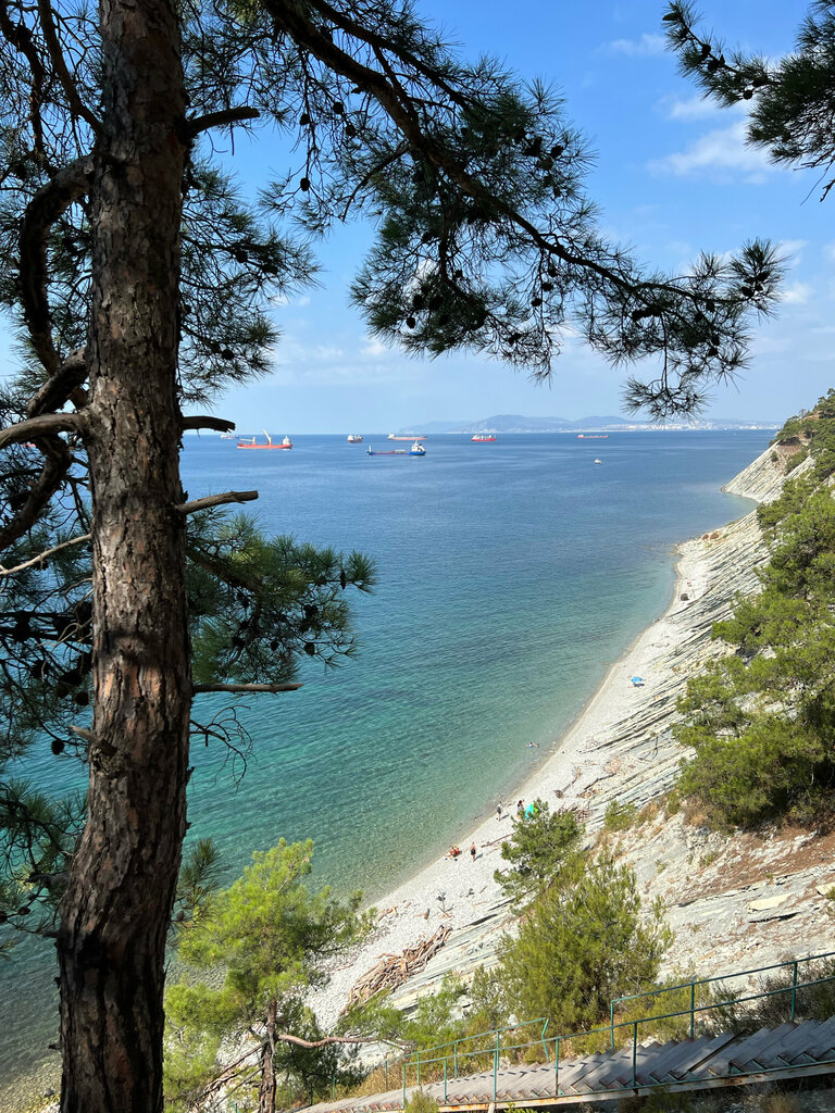 Resort oteller, tesisler Dacha-Gelendzhik-Blue Bay, Gelencik, foto