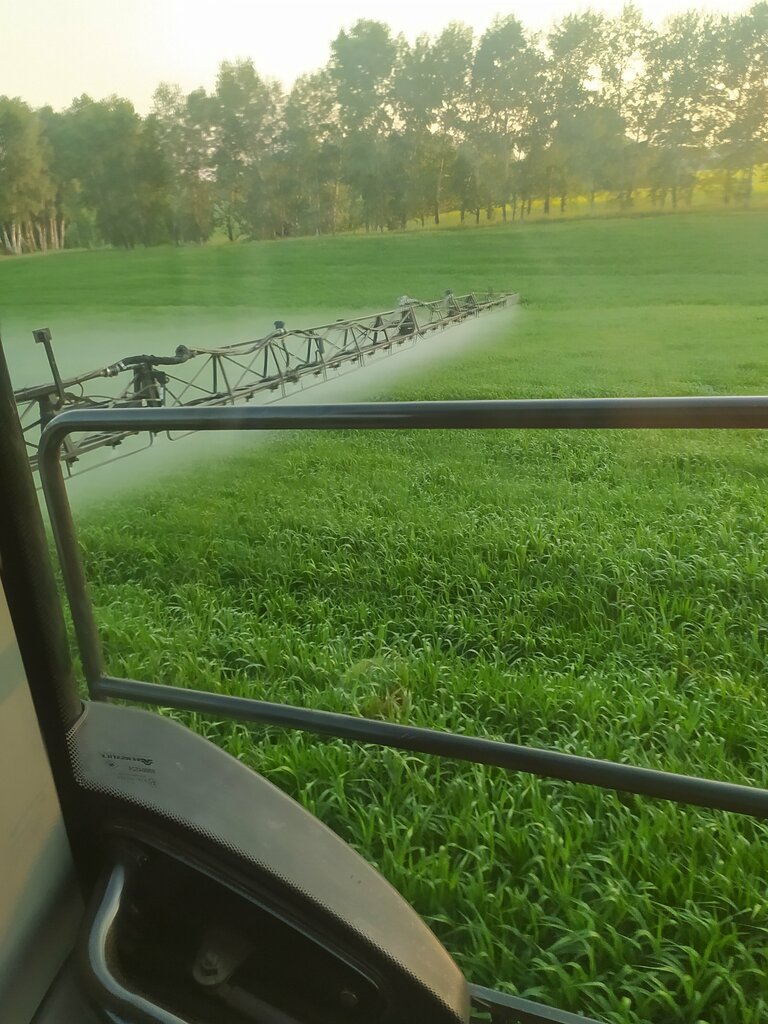 Tarım ürünleri firmaları Шанс, Altayski krayı, foto