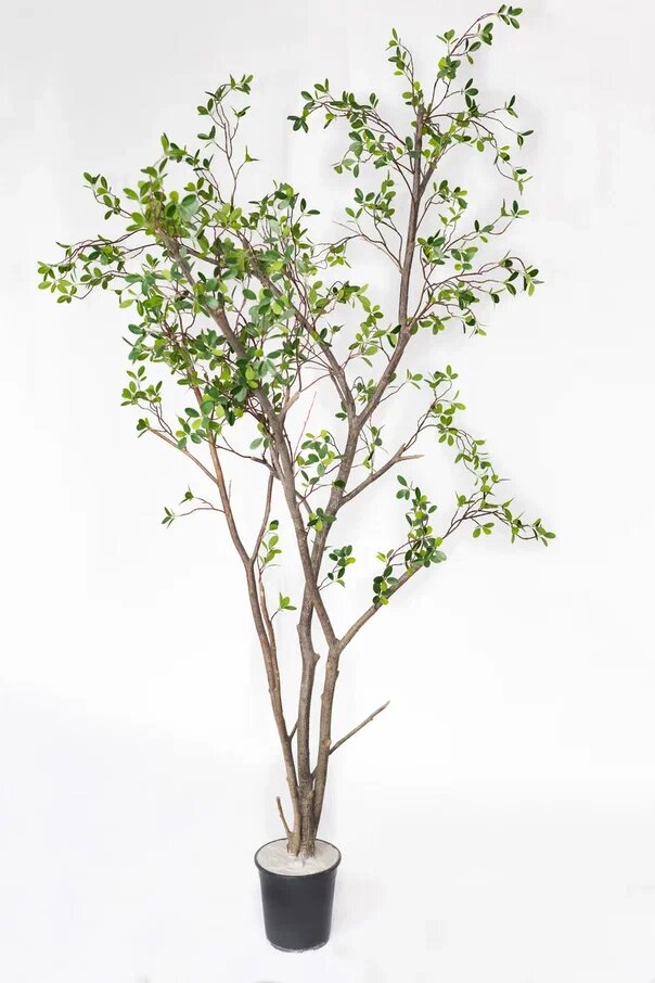 Çevre peyzaj hizmetleri Kf Decor, Yekaterinburg, foto