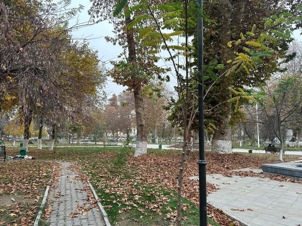 Turizm acenteleri Loong Air, Taşkent, foto