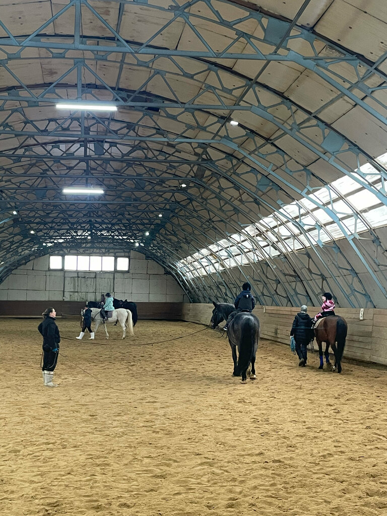 At ve binicilik kulüpleri Equi. Hobby, Moskova ve Moskovskaya oblastı, foto