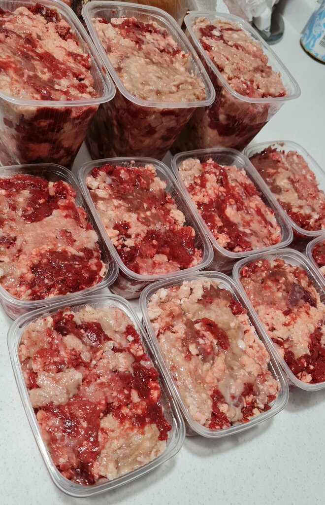 Petshop Сытый пес, Zelenograd, foto