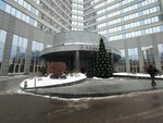 Mozaic (Leningradskiy Avenue No:31Ас1), restoran  Moskova'dan