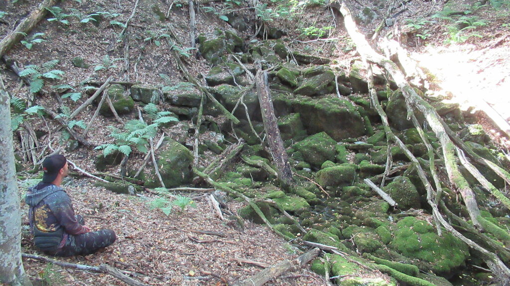 Pınar, çay Исток Бурульчи, Kırım Cumhuriyeti, foto