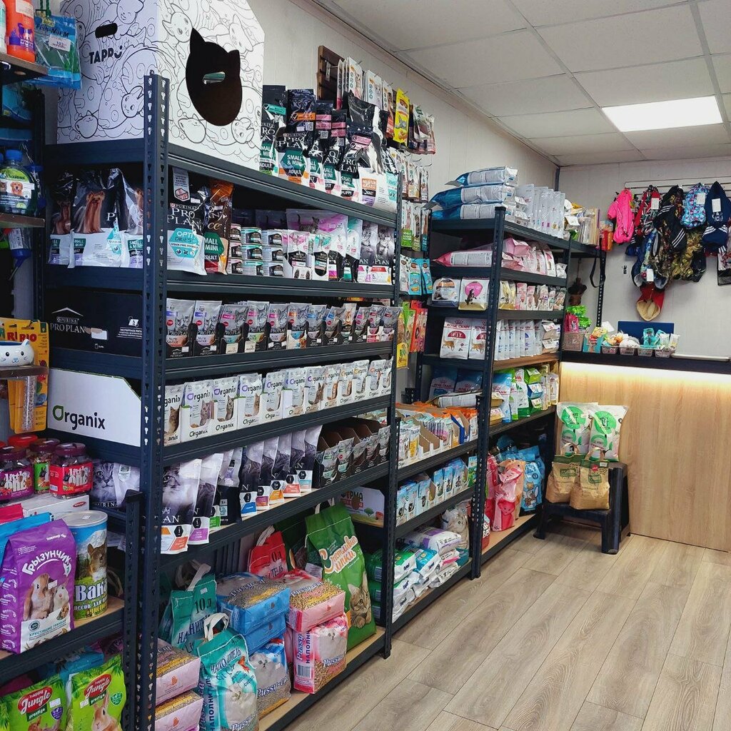 Petshop Kasper, Saint‑Petersburg ve Leningradskaya oblastı, foto