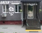 Амели (Čyrvonaja vulica No:32), çiçekçiler  Luninets'ten