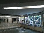 Альянс (Novosibirsk, Krasniy Avenue), çorap ve külotlu çorap mağazaları  Novosibirsk'ten
