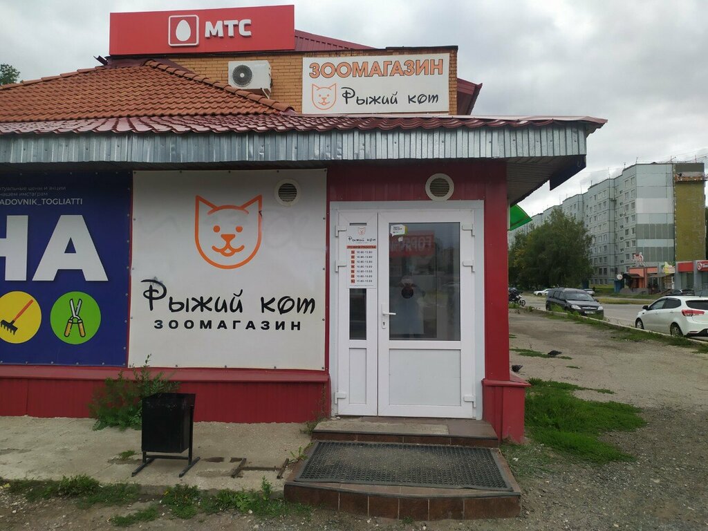 Petshop Рыжий кот, Tolyatti (Togliatti), foto