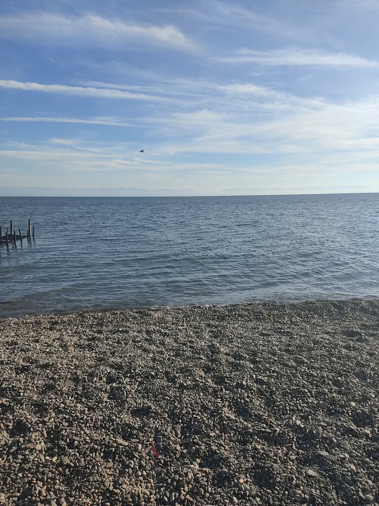Piknik alanı Место для пикника, İrkutskaya oblastı, foto