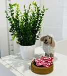 Крошка МЮ (Astrakhova avenue No:5Ак4), çocuk mağazaları  Mytişçi'den