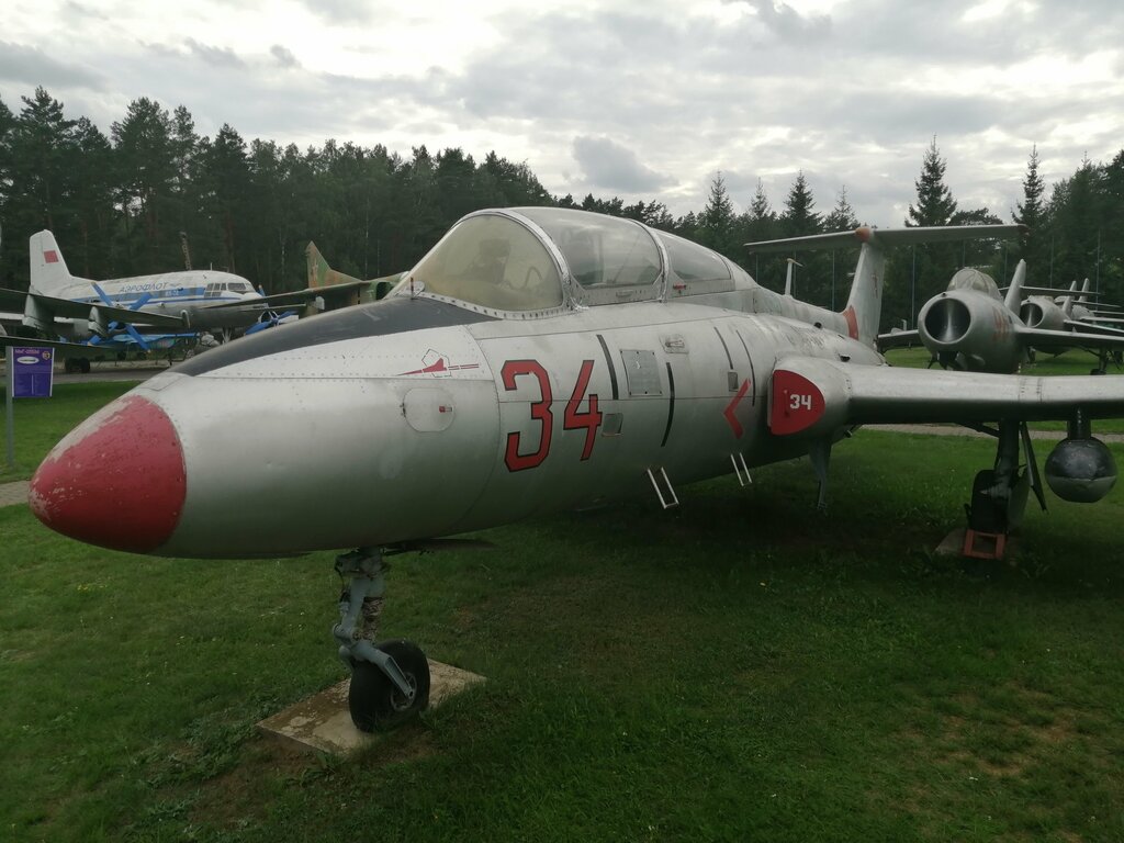 Teknoloji anıtı Учебно-тренировочный Самолёт Л-29, Minskaya oblastı, foto