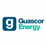 Guascor (Ordzhonikidze Street No:11с11), enerji ekipmanı firmaları  Moskova'dan