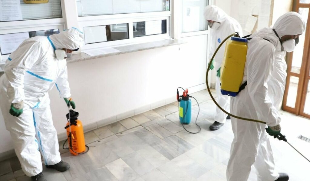 Haşere ilaçlama firmaları City Pest Control Service, Mytişçi, foto