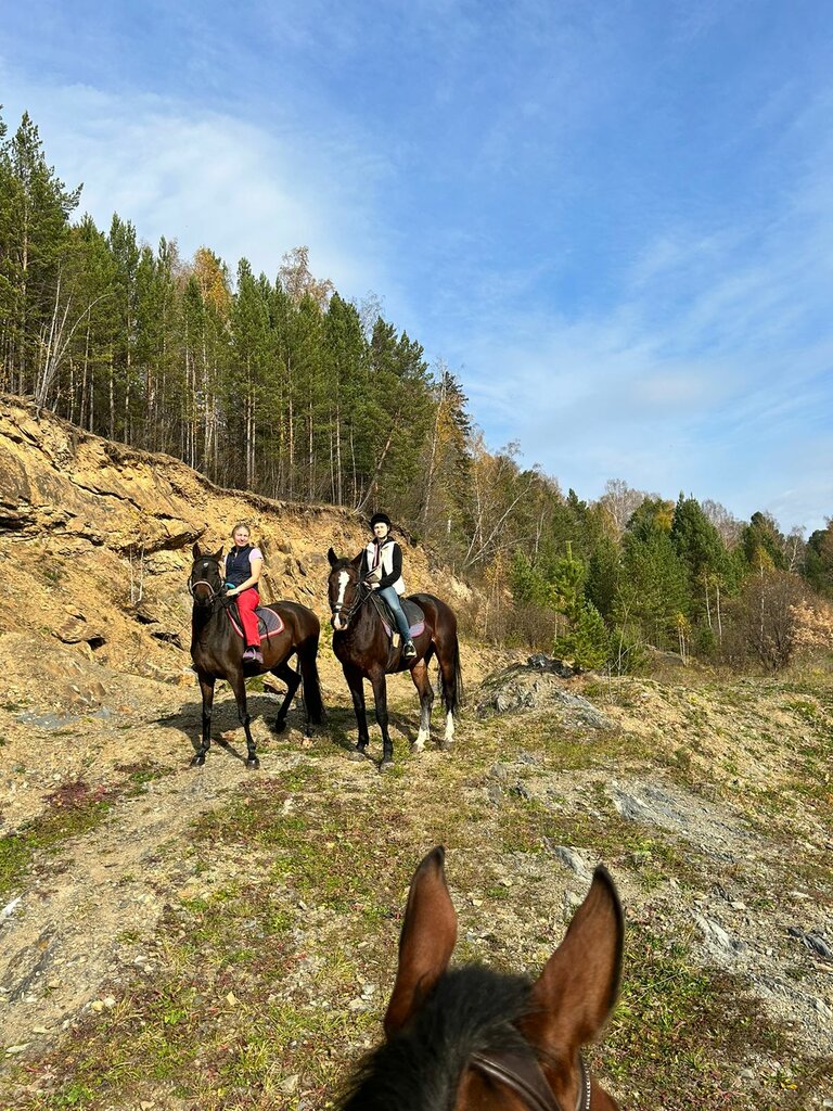 Hipodromlar Alicorn, Tomsk, foto