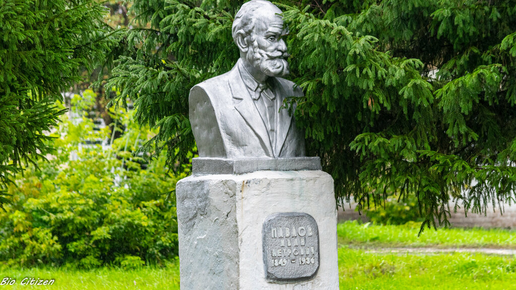 Ruh ve sinir hastalıkları hastaneleri Областная специализированная психоневрологическая больница № 2, Çeliabinskaya oblastı, foto