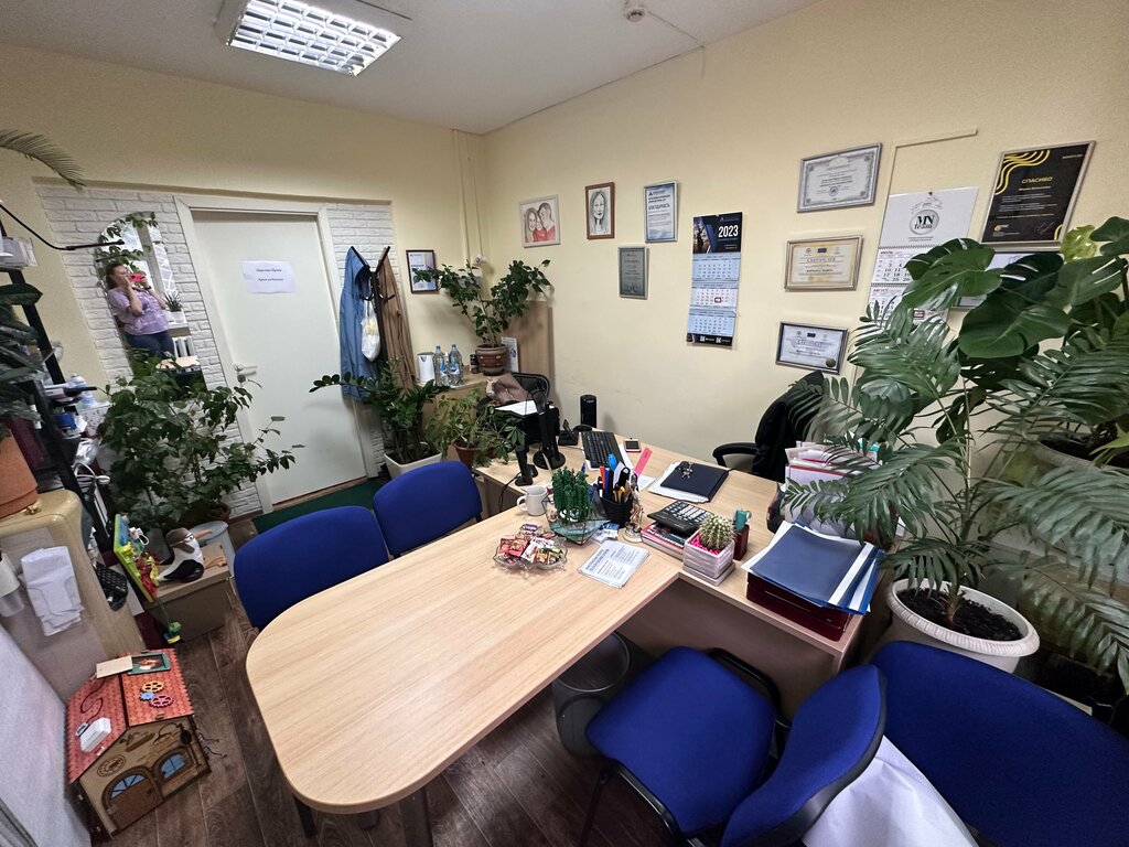 Hukuk büroları Mariya Kopylova, Novosibirsk, foto