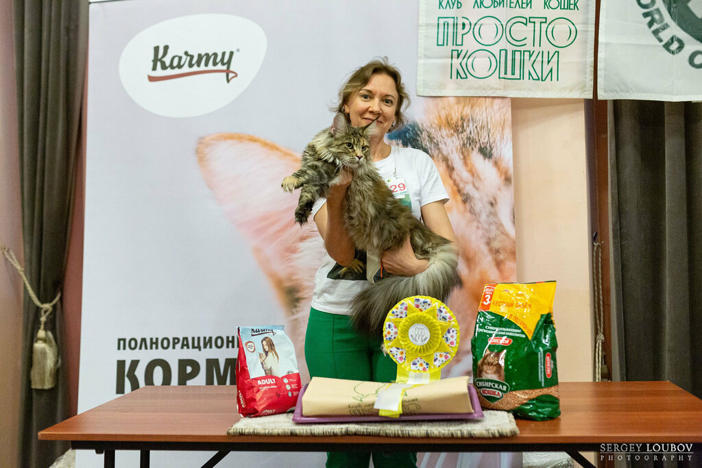 Evcil hayvan yetiştiricileri Cat Cattery Of Maine Coon And Pixiebob, Yekaterinburg, foto