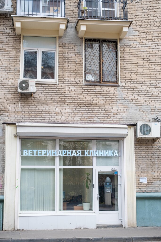 Veteriner klinikleri VolyaVet, Moskova, foto