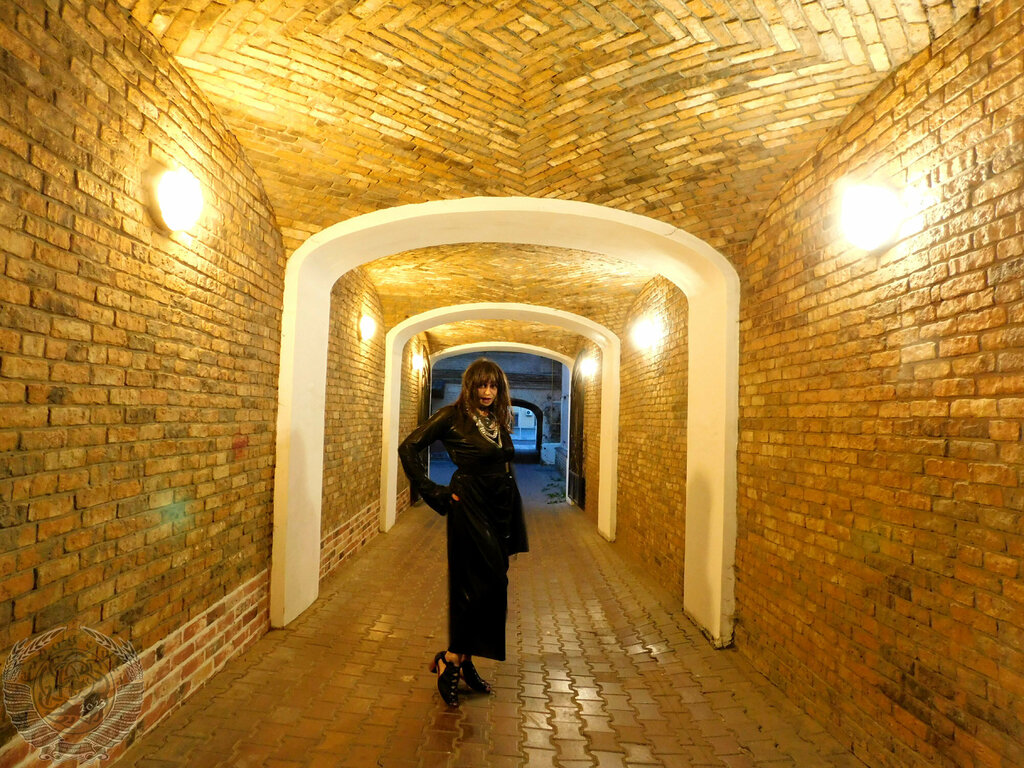 Turistik yerler Доходный дом Н. Козлова, Moskova, foto