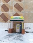 Вет Делфи (Aleshchenkova Street No:17), veteriner klinikleri  Zareçny'den