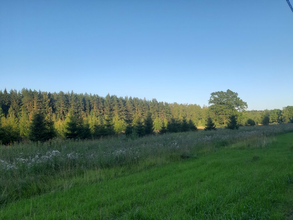 Bahçecilik dernekleri ve kuruluşları Дубки-1967, Moskova, foto