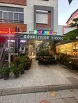 Gönüçelen Çiçekçi (Atatürk Cad., Osmancık, Çorum), çiçekçiler  Osmancık'tan
