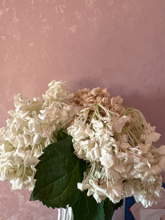 Çiçekçiler Flower Lab, Gubkinski, foto