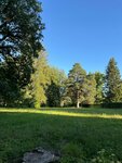 Playground (St. Petersburg, Pushkinsky District, Pavlovsk, Pavlovskiy park), oyun alanı  Pavlovsk'tan