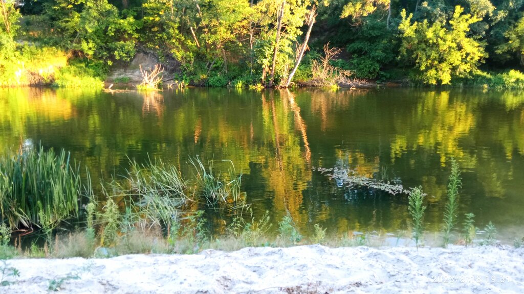 Plaj Пляж, Saratovskaya oblastı, foto