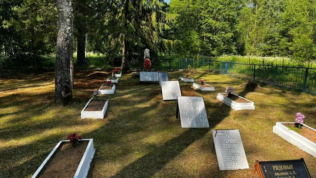 Anıt, heykel Воинское захоронение в д. Котицы, Novgorodskaya oblastı, foto