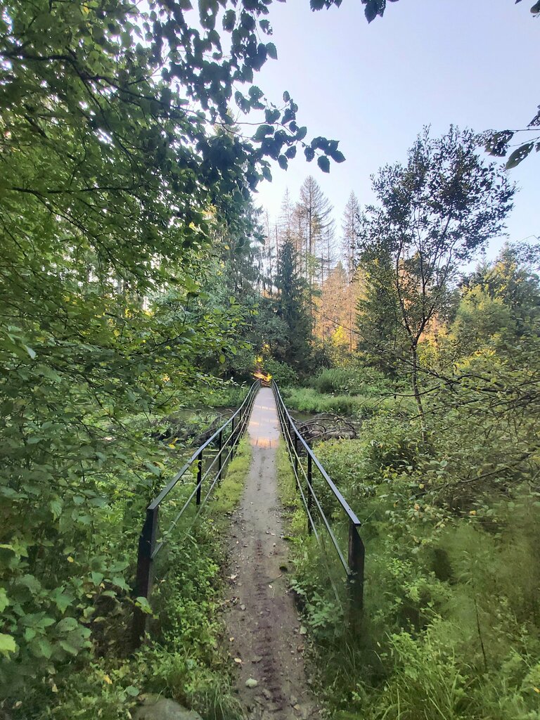Pınar, çay Spring, stream, Saint‑Petersburg ve Leningradskaya oblastı, foto