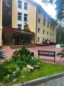 Morozovo (Novosibirsk Region, Iskitimskiy rayon, Morozovskiy selsovet, urochishche Morozovskoye kvartaly 18 i 43), otel  Novosibirskaya oblastından
