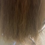 Jule Ladies Saloon (71, Al Souq Street, Burial Khor Ras Al Khaimah, Sector 3, Ras Al Khaimah), güzellik salonu