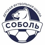 Sobol (Karla Marksa Street No:165к1), spor okulları  Tambov'dan