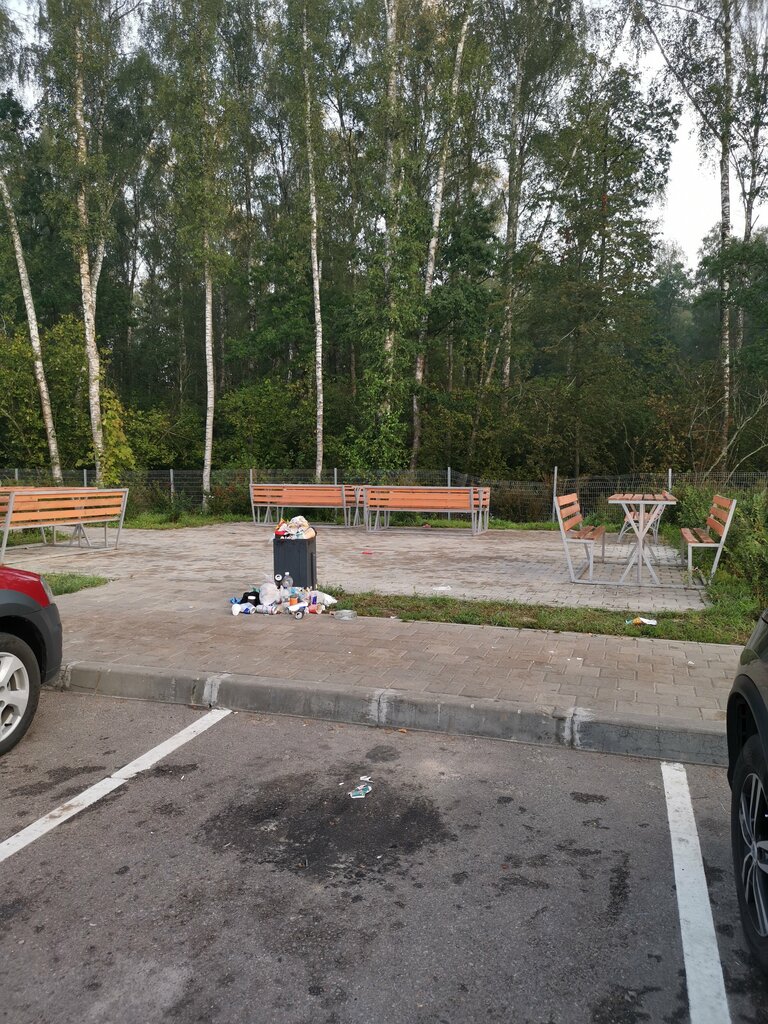 Yol kenarı dinlenme alanı Придорожная зона отдыха, Moskova ve Moskovskaya oblastı, foto